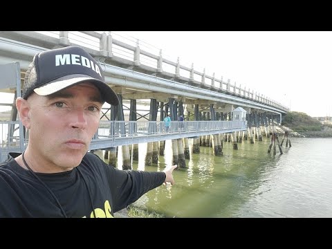 Alex Murdaugh. Mallory Beach. BOAT & BRIDGE. - YouTube
