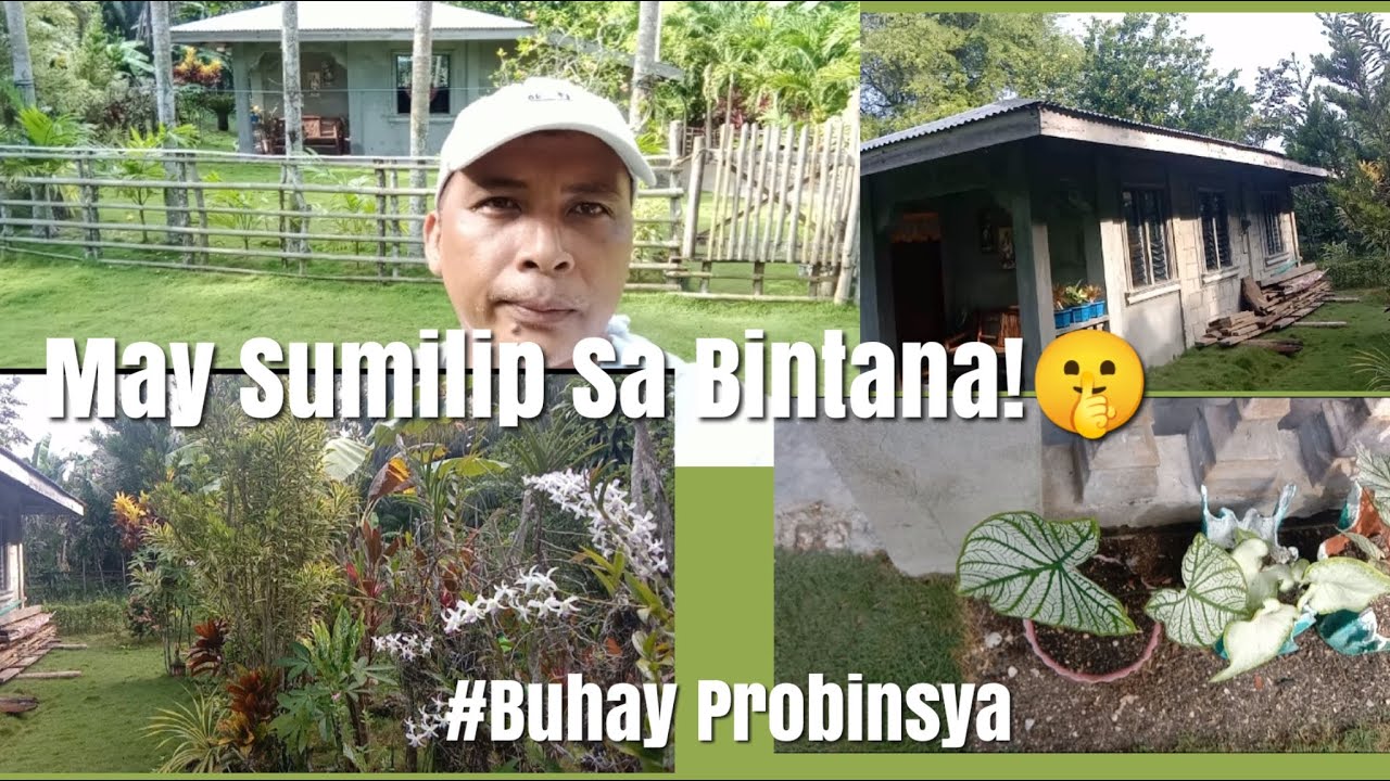 May Sumilip Sa bintana🤫 #Buhay Probinsya! - YouTube