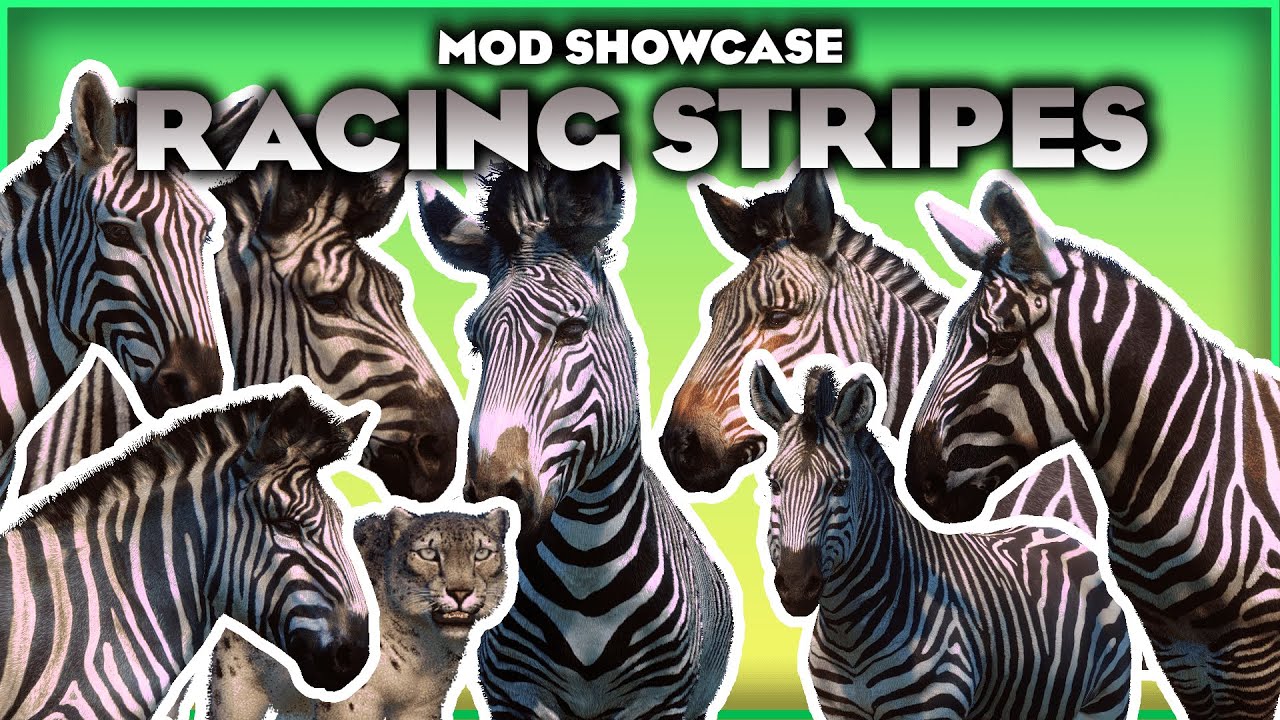 Racing Stripes | Zebra Pack Officially Out! - Planet Zoo Mod Showcase ...