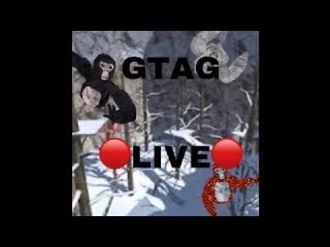 gtag fan codes live! - YouTube