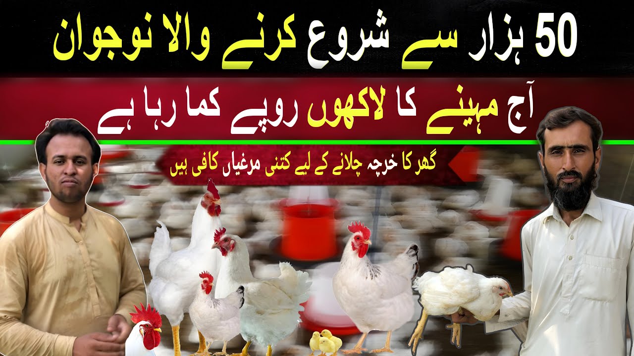 Poultry Farm Business Plan || Desi Hen Farming at Home || Small ...