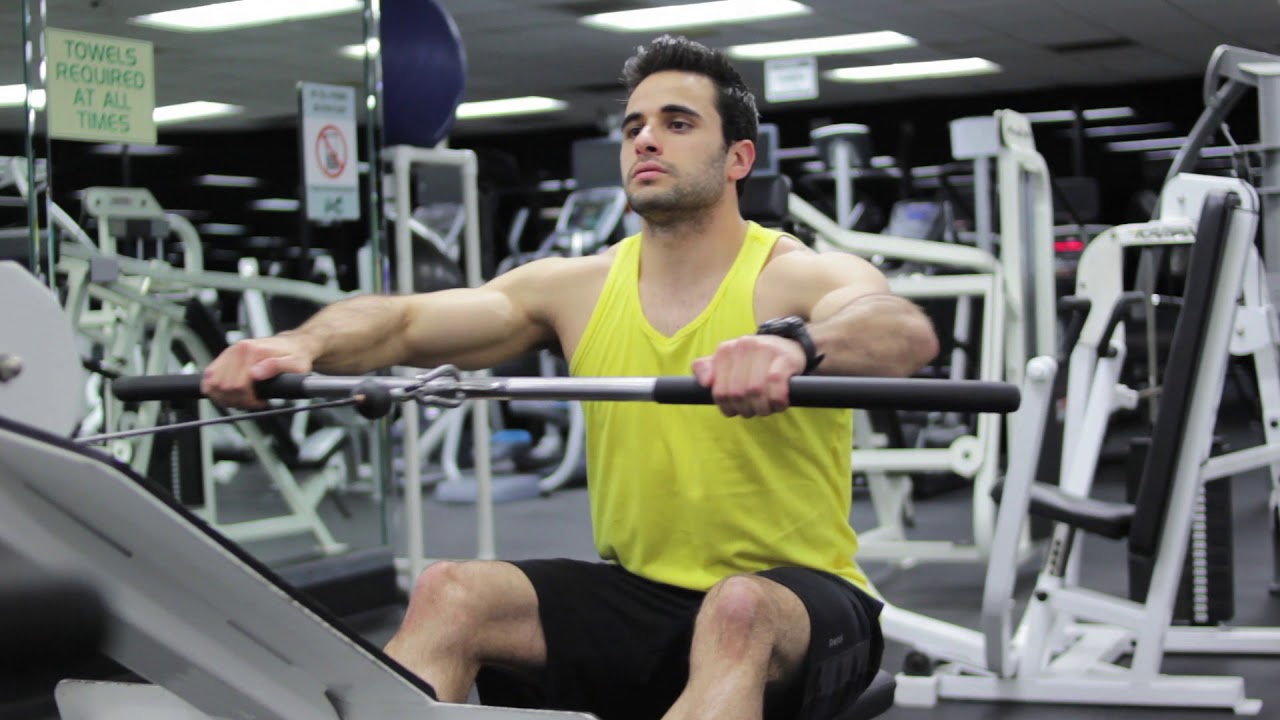 53) Seated Cable Straight Bar Rear Delt Row [Seated Pulley System ...