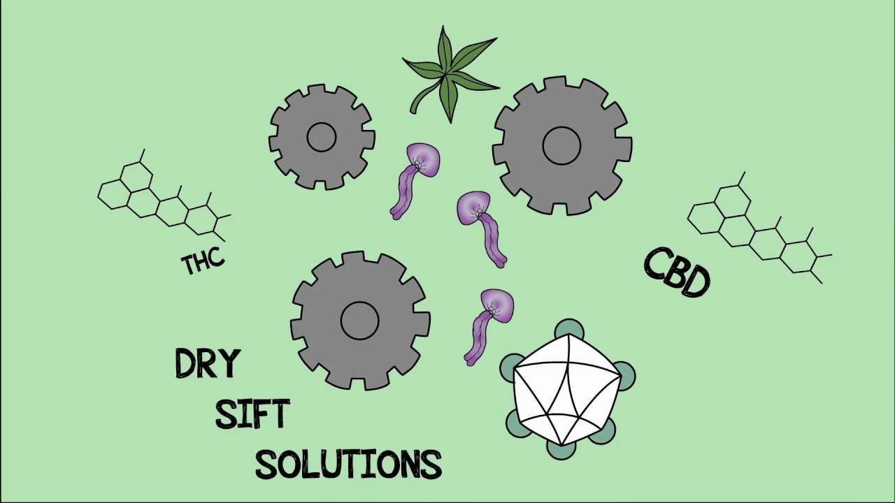 Trichome Extraction by DrySiftSolutions - YouTube