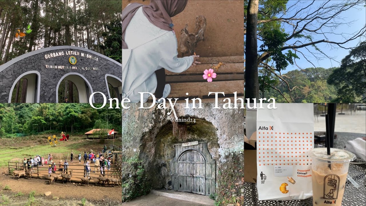 One Day in Tahura🍃|Tracking, penangkaran rusa🦌, ngupi☕️|Bandung🕺🏼 - YouTube
