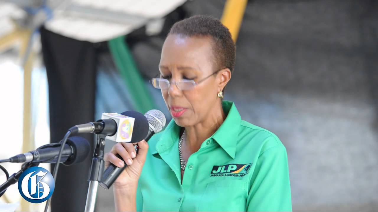 I lead from the front, says political newbie Fayval Williams - YouTube