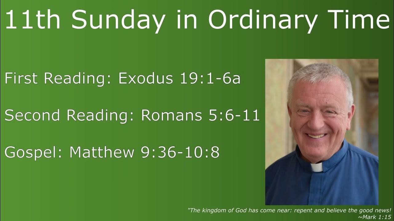 11th Sunday in Ordinary Time Homily - St. Francis of Assisi, Kitchener - YouTube