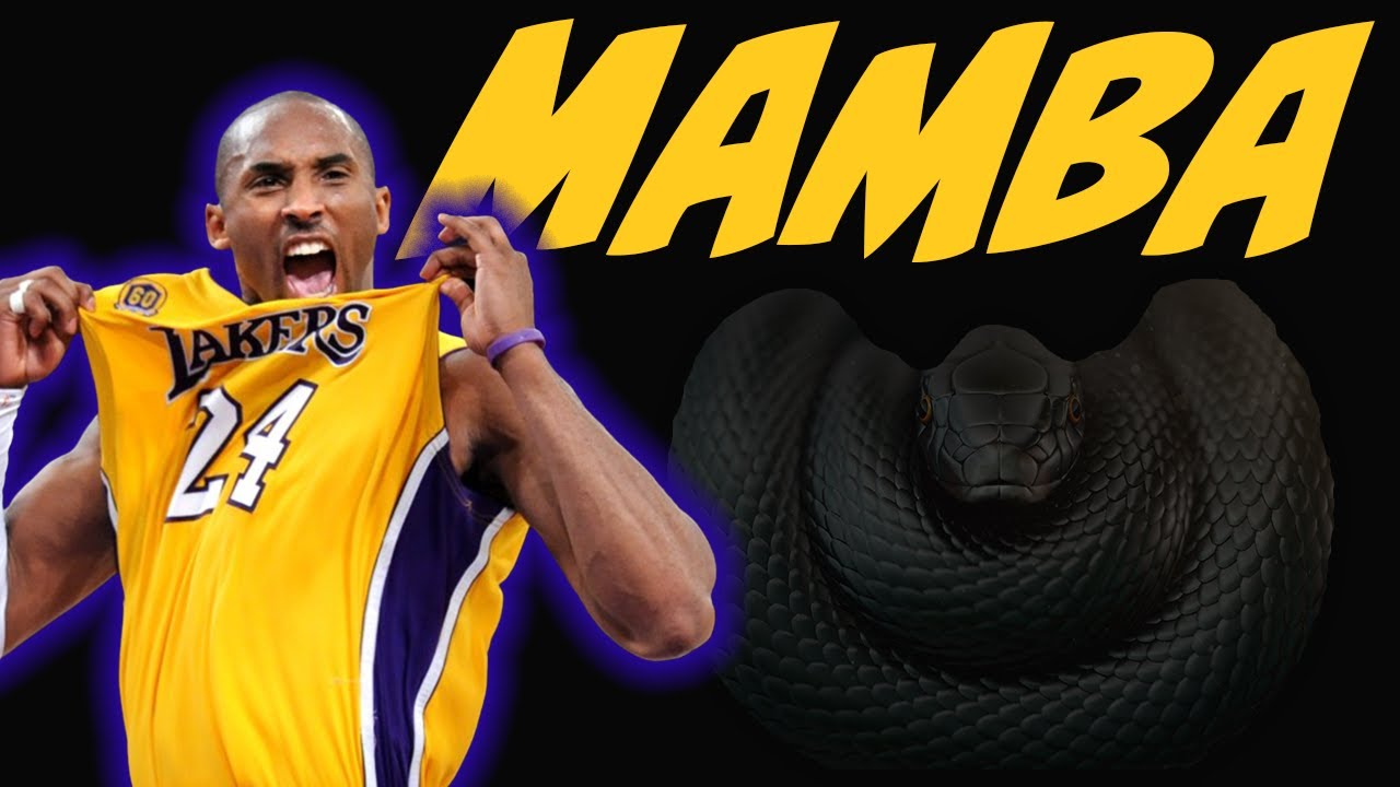 Mamba Mentality how to ball like Kobe Bryant - YouTube
