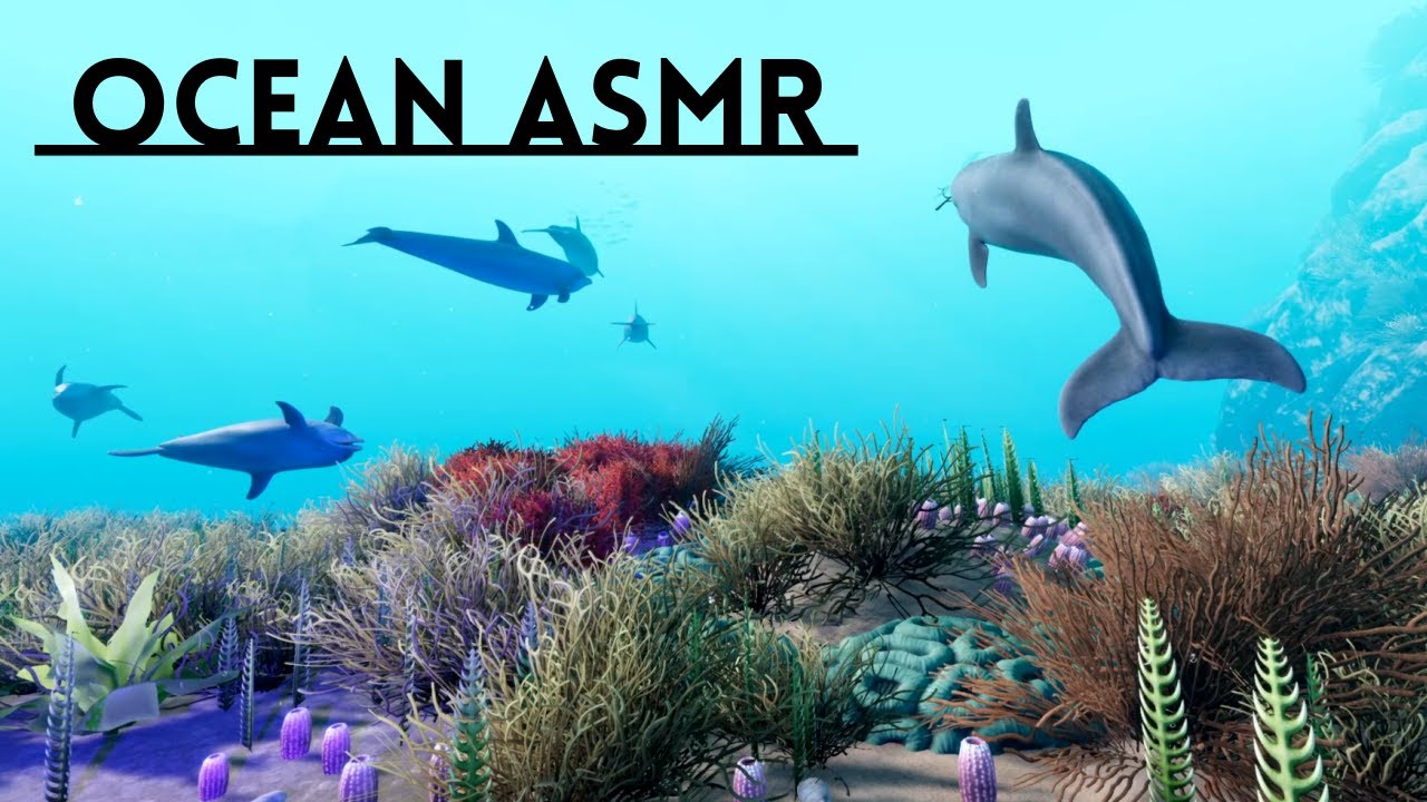 Relaxing Underwater ASMR 🐬 Diving With Dolphins & Whales 🐳 Beyond Blue ...