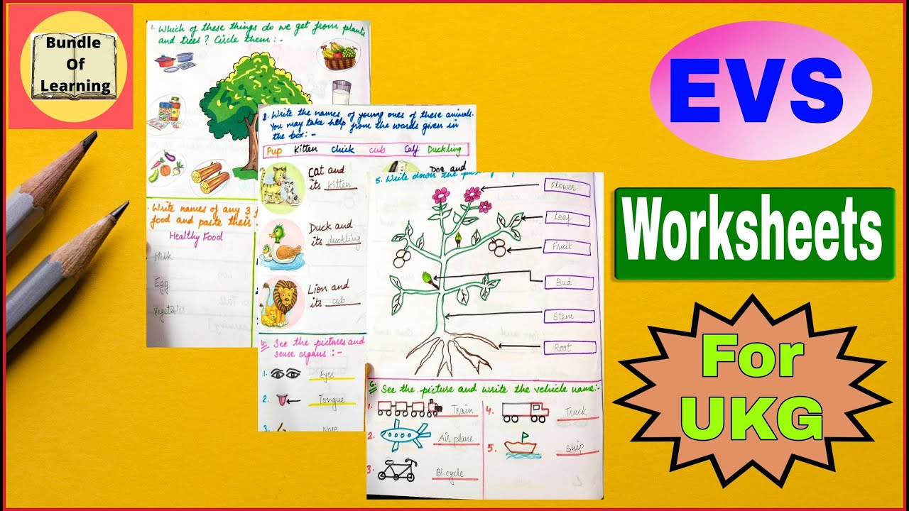 EVS Worksheet For UKG | EVS Worksheet | UKG Worksheets | UKG EVS ...