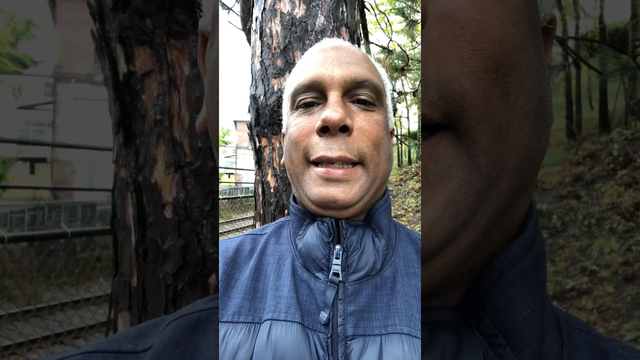 Maria Baldwin: pioneering educator, cultural, civic, and political ...