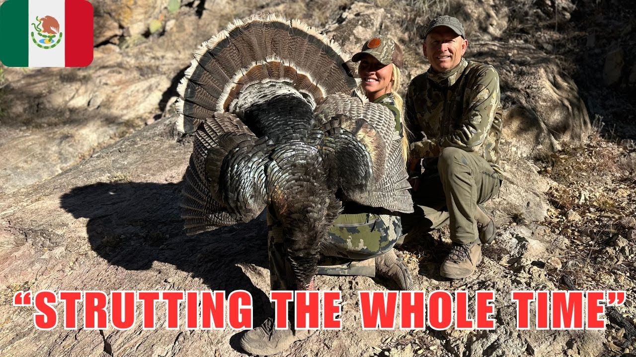 2024 Season | EP 3 | Crystal Beachy and a Strutting Gould's Gobbler in ...