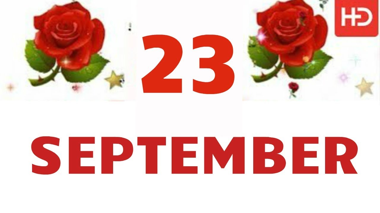 23 SEPTEMBER Special New Birthday Status Video , happy birthday wishes ...