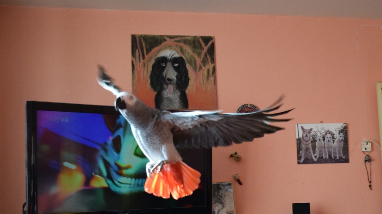 bbbbbbbbbbbbbbbbbbbbb - YouTube