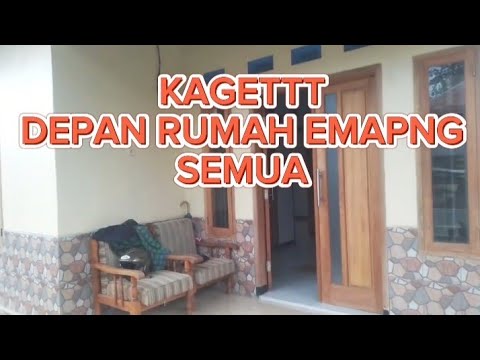 kaget depan Rumah empang semua#channel7chiramo - YouTube