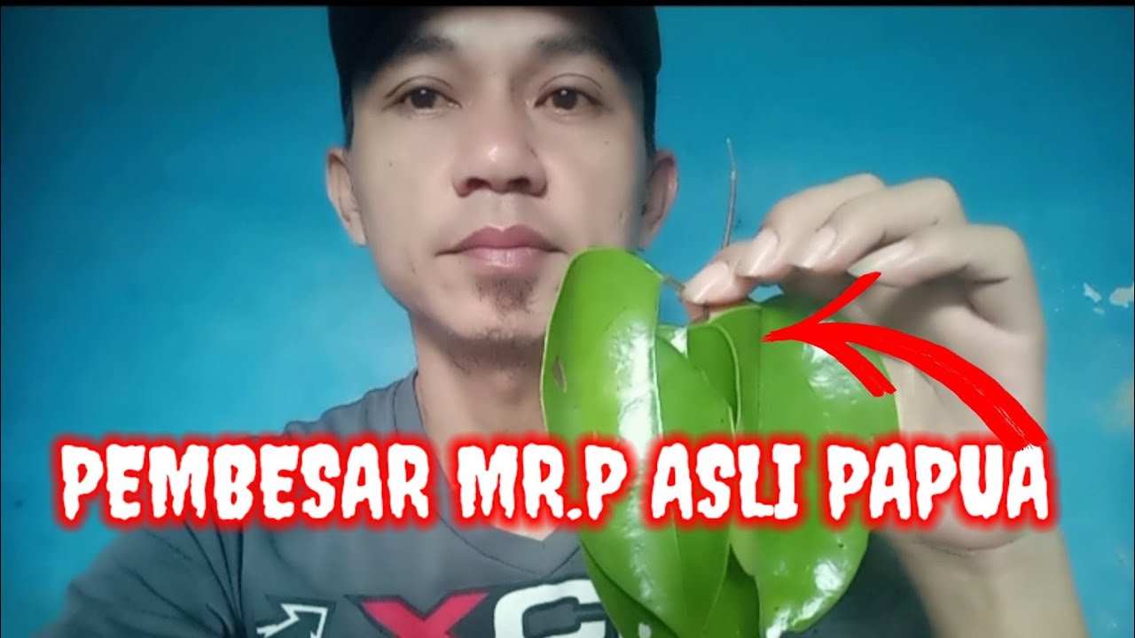 Daun 3 Jari Asli Papua_Daun Bungkus Papua - YouTube
