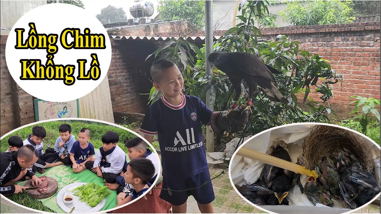 Mao Đệ Troll Trẻ Trâu Ăn Wasabi - Và Ngôi Nhà Mới Dành Cho Những Chú ...