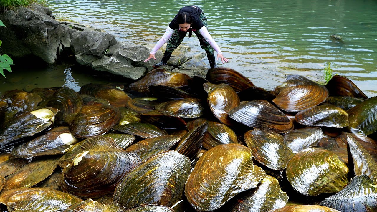 😱😱The girl discovered a large area of giant clams, with sparkling ...