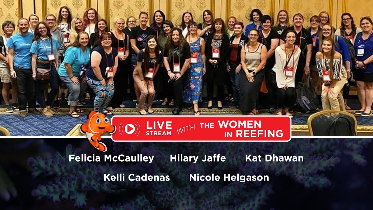 Women in Reefing LIVE w/ Felicia McCaulley, MetroKat, Nicole Helgason ...
