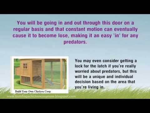 How To Build A Chicken Enclosure Properly - 4 Ways to Guard Against ...