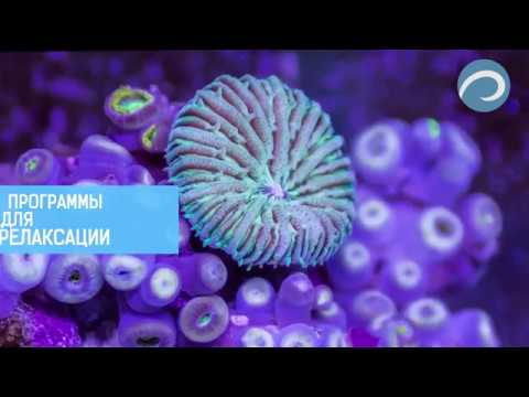 OCEAN TV - Presentation Video - YouTube