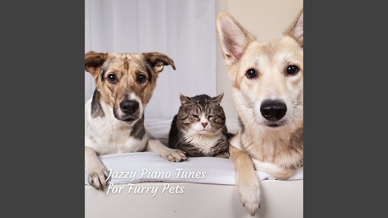 Tiny Tango - YouTube