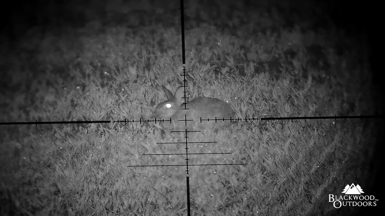 1080P Black Night Vision from Blackwood Outdoors - YouTube