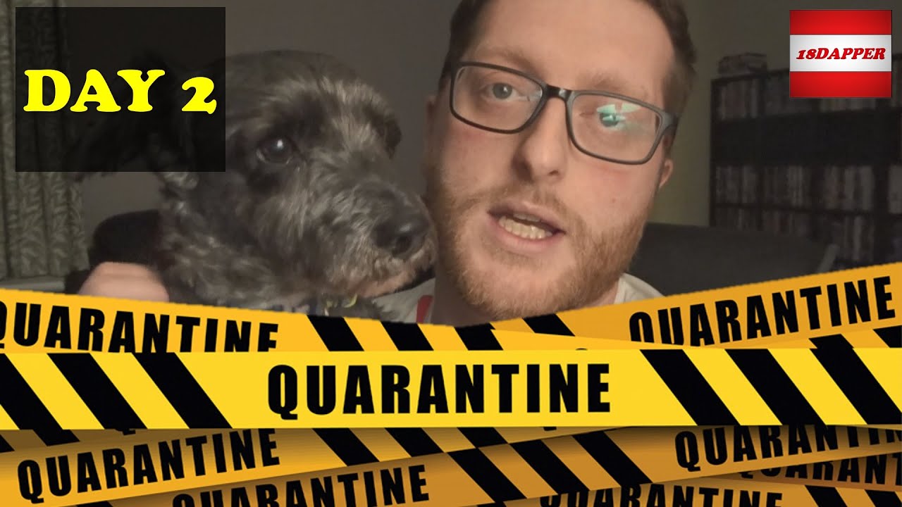 Quarantine Vlog - Quaroutine Day 2 - YouTube