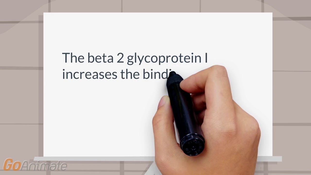 Beta 2 glycoprotein 1 and risk of thrombosis - YouTube