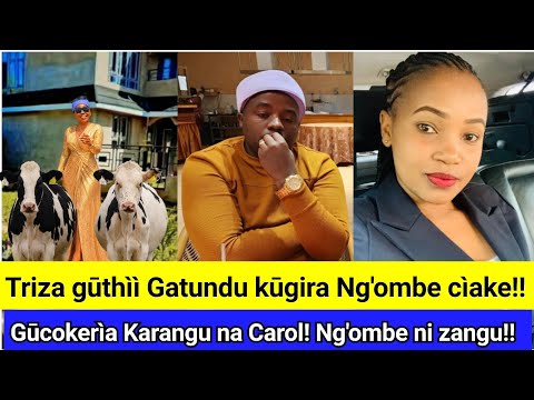 Breaking! Triza kūgira ng'ombe cìake Gatundu!! Gūcokerìa Carol Kim na Karangu 