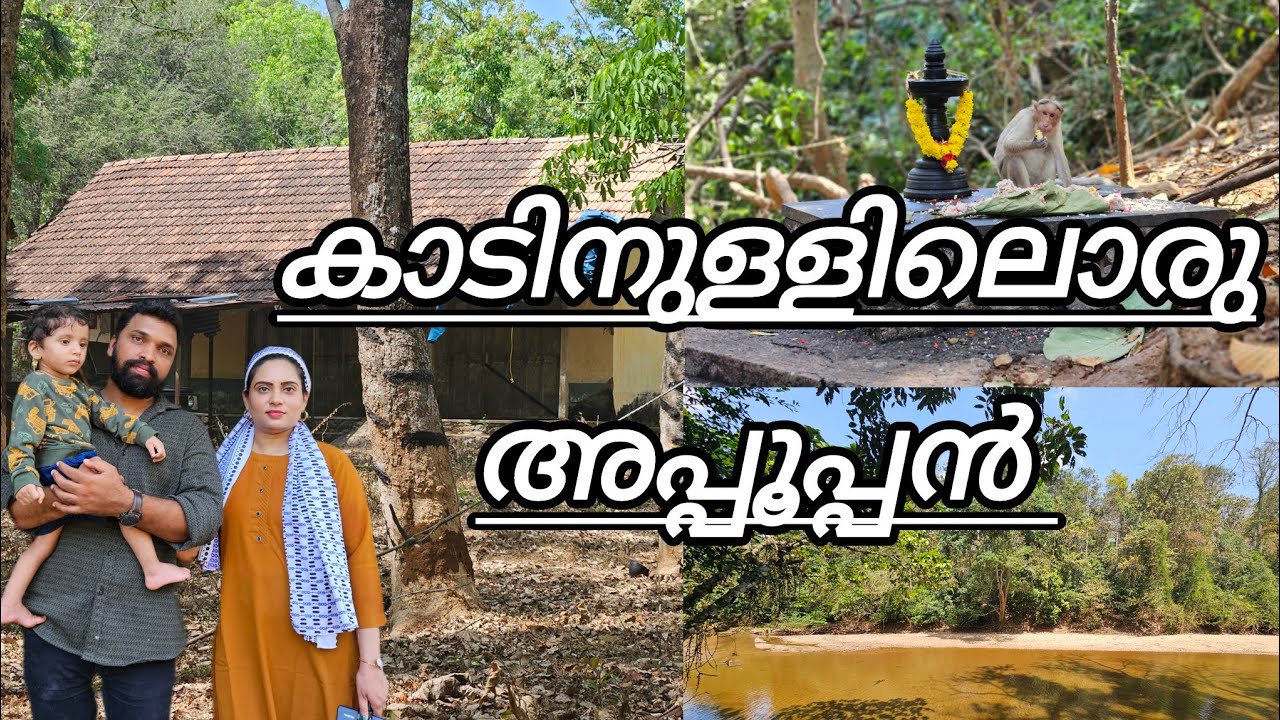 അപ്പൂപ്പനെ കാണാൻ നമുക്ക് ഒന്ന് കാടുകയറാം | kalleli oorali appuppan ...