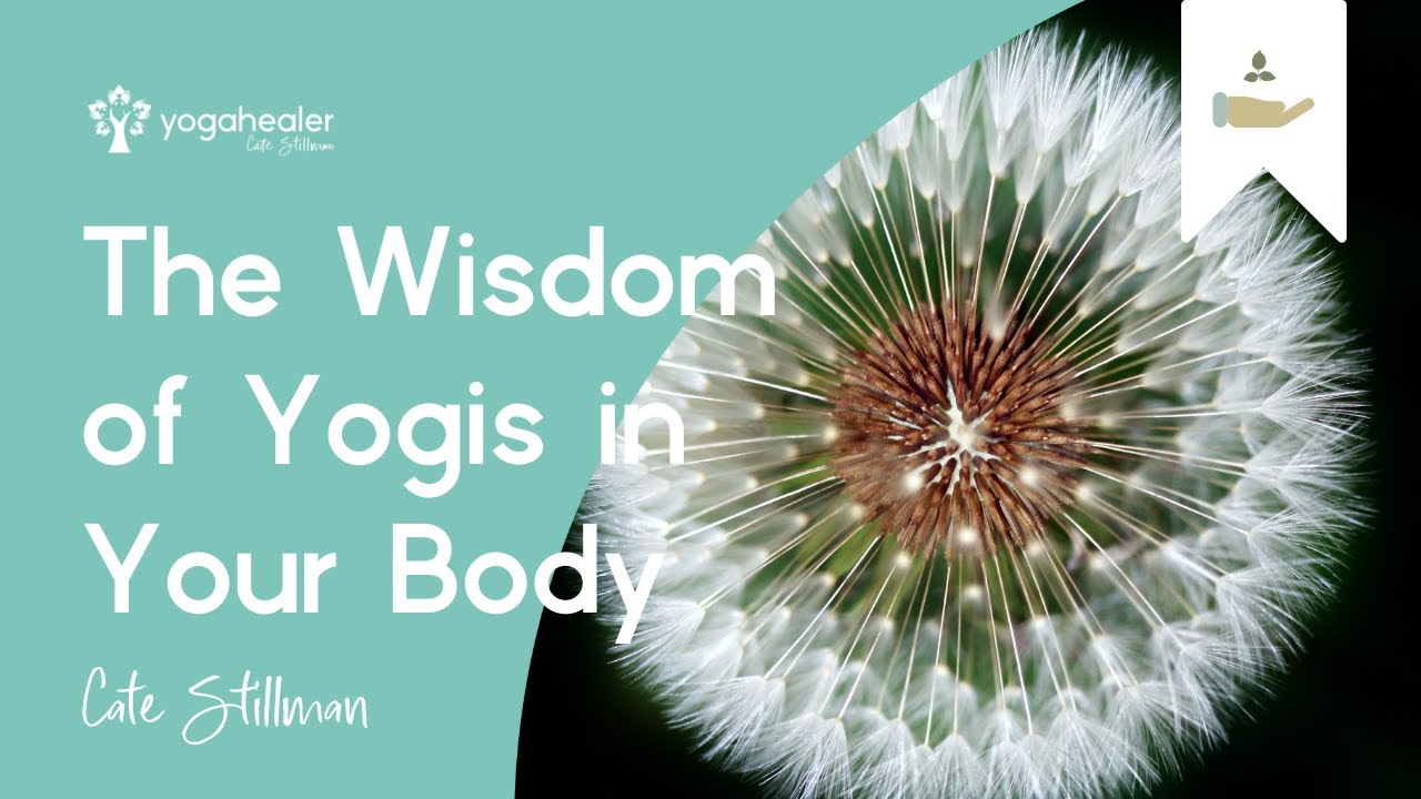 The Wisdom of Yogis in Your Body - YouTube
