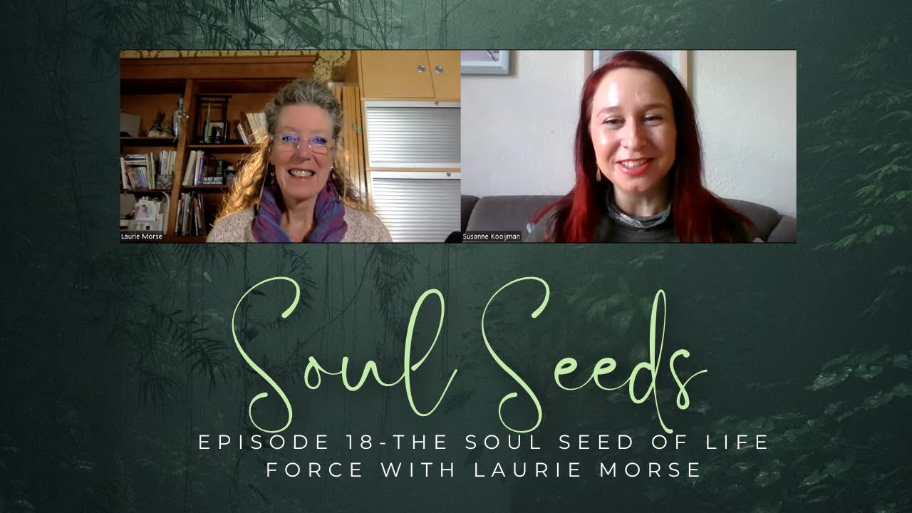 Soul Seeds ep.18 - The soul seed of life force with Laurie Morse - YouTube