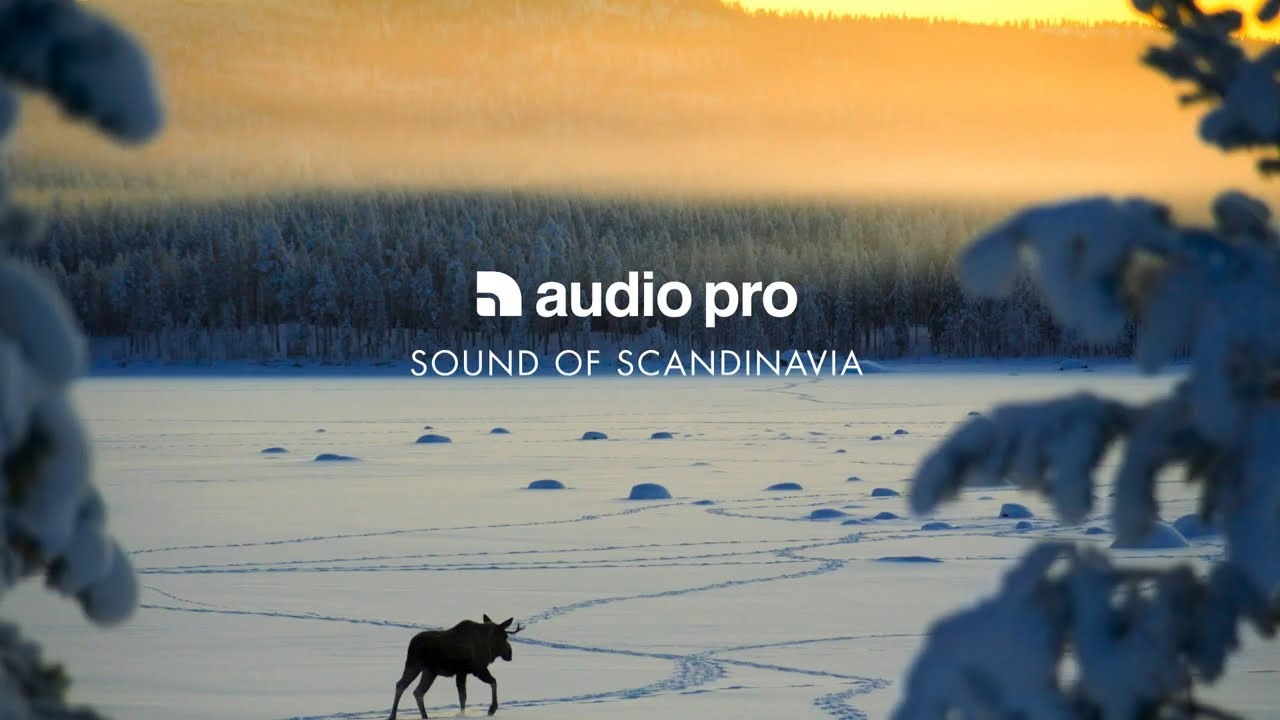 【Audio Pro】瑞典專業音響品牌 - YouTube