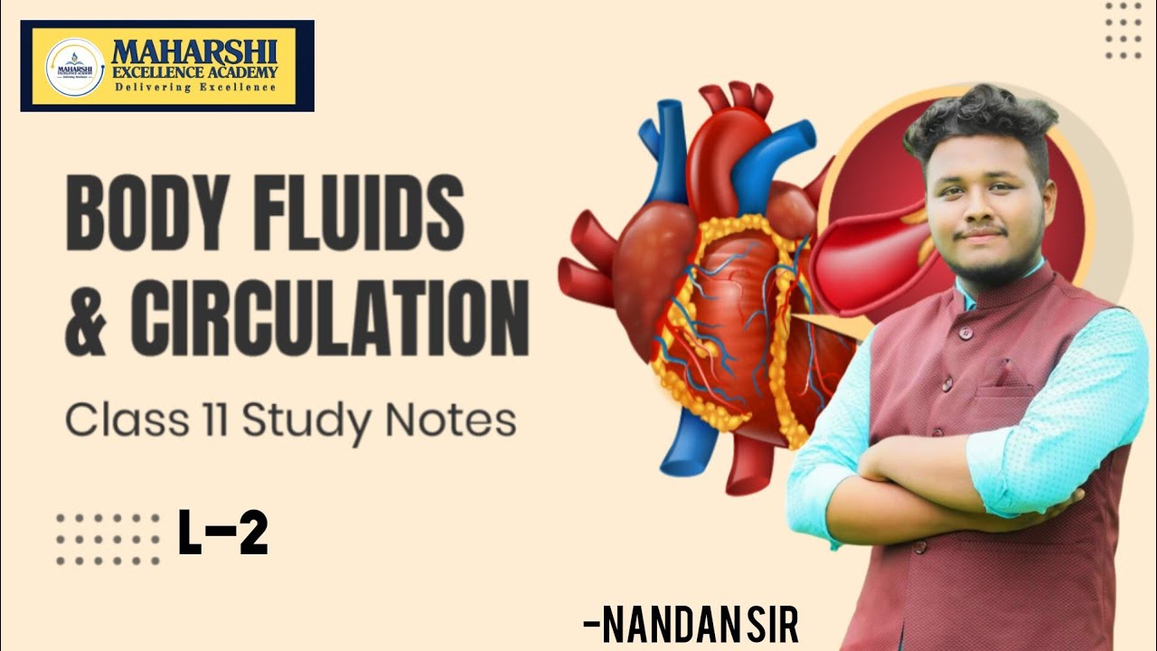 L-2 Blood group (Body Fluids And circulation) Assamese medium - YouTube