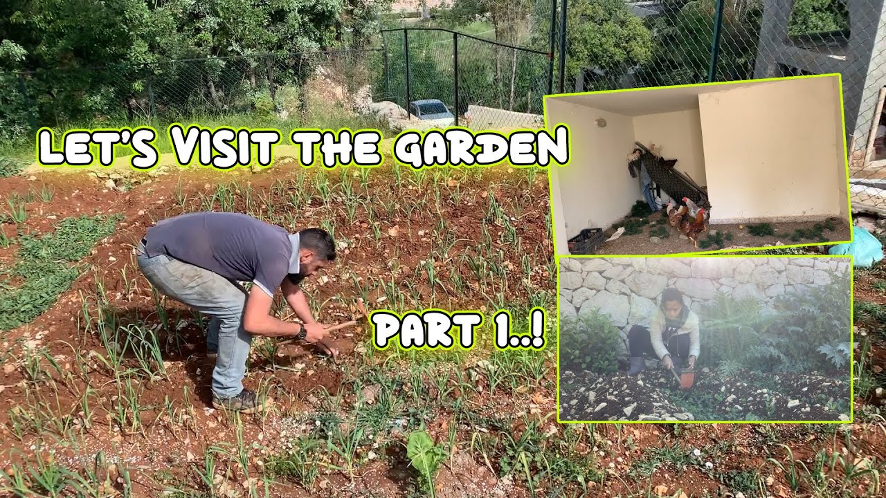 BUHAY LEBANON:ANO NA NGA BA ANG LAGAY NG ATING MGA ITINANIM/HITIK SA ...