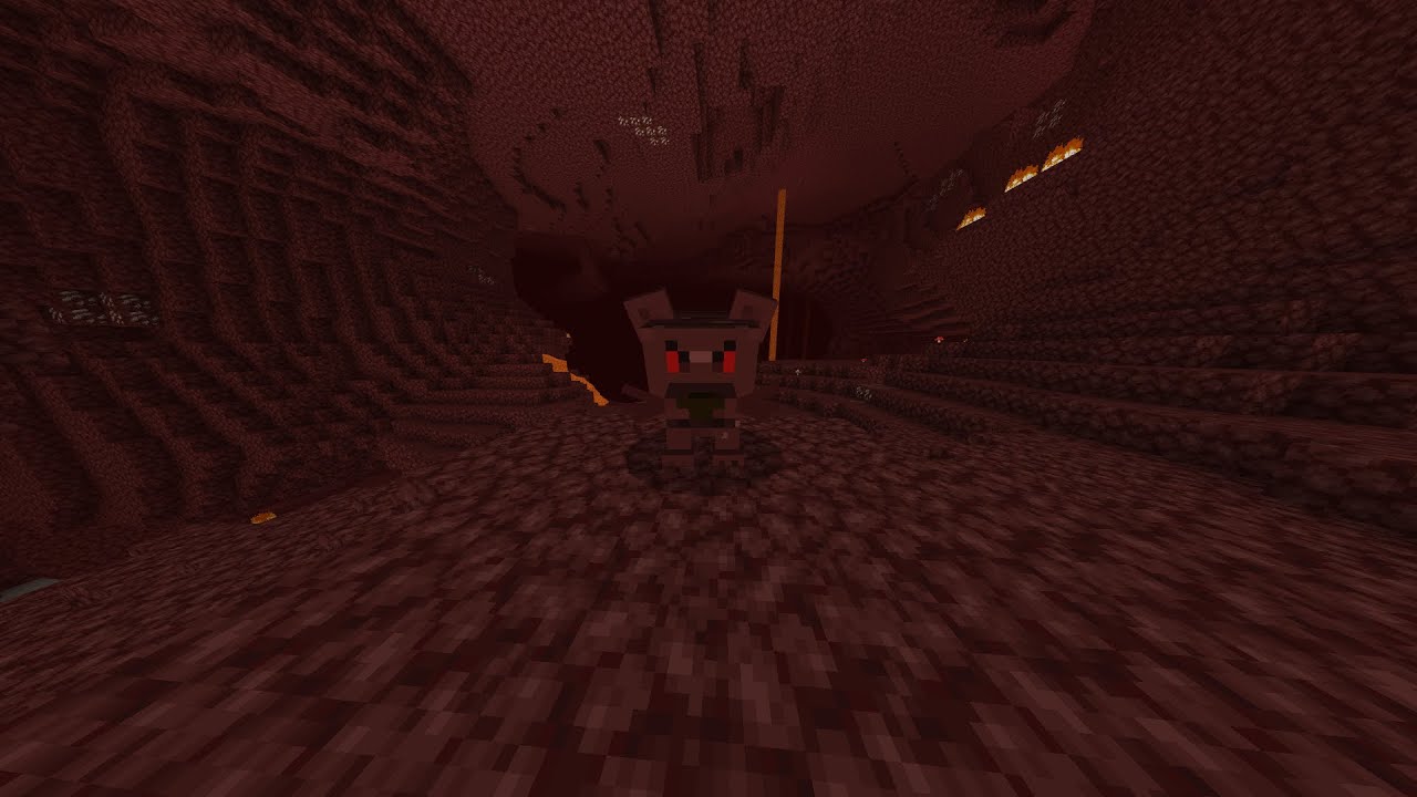 I Found An Awesome Nether Cats Addon! - YouTube