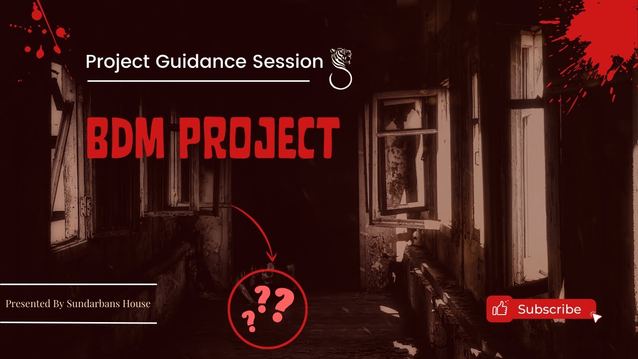 Project Guidance Session : BDM Project - YouTube