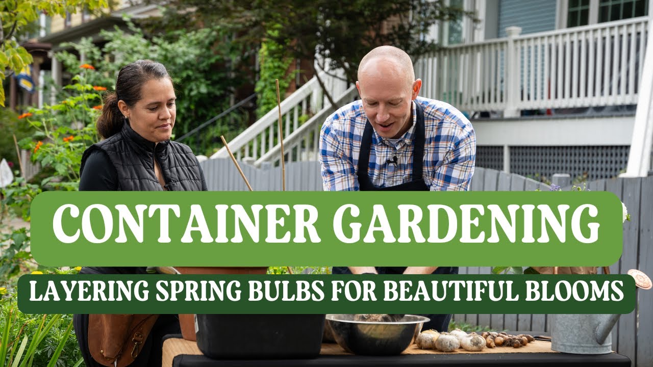 Container Gardening: Layering Spring Bulbs for Beautiful Blooms - YouTube