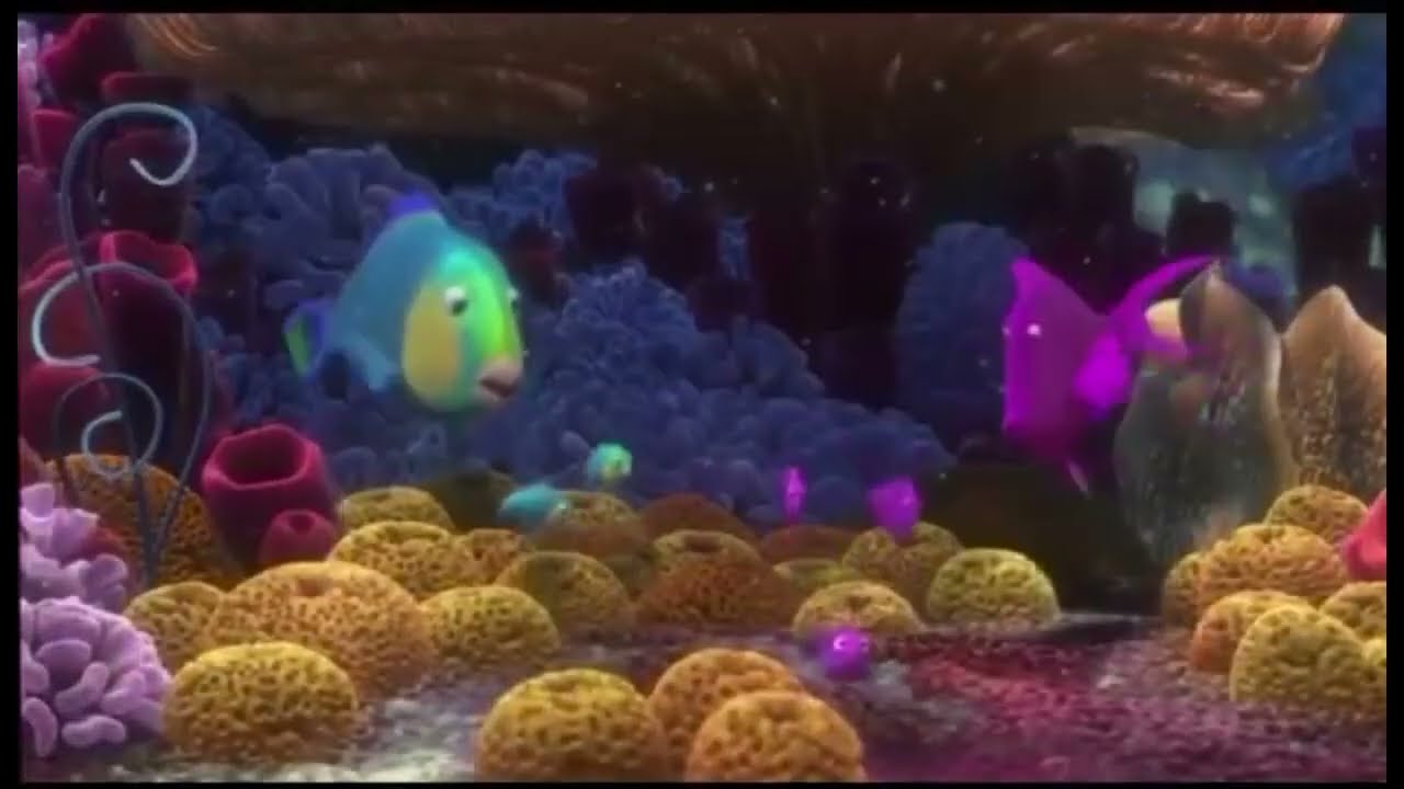 Beds Of Sponge - YouTube