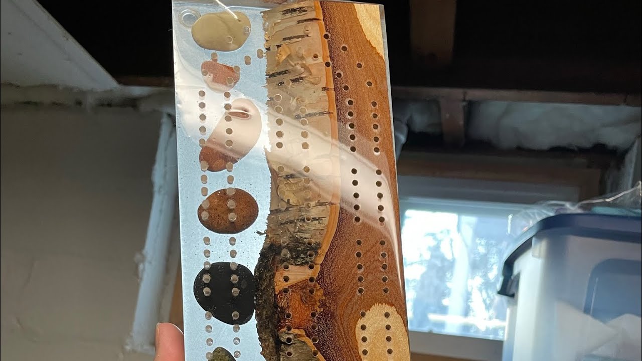 Birch & Rock Cribbage Board | What I Learned - YouTube