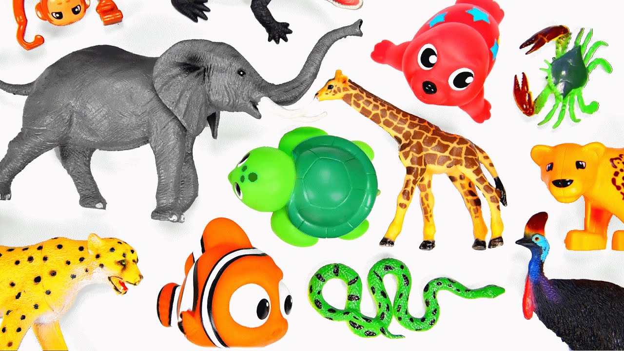 Safari Animals - Learn Wild Zoo Animals Name with Fun Storytime For ...