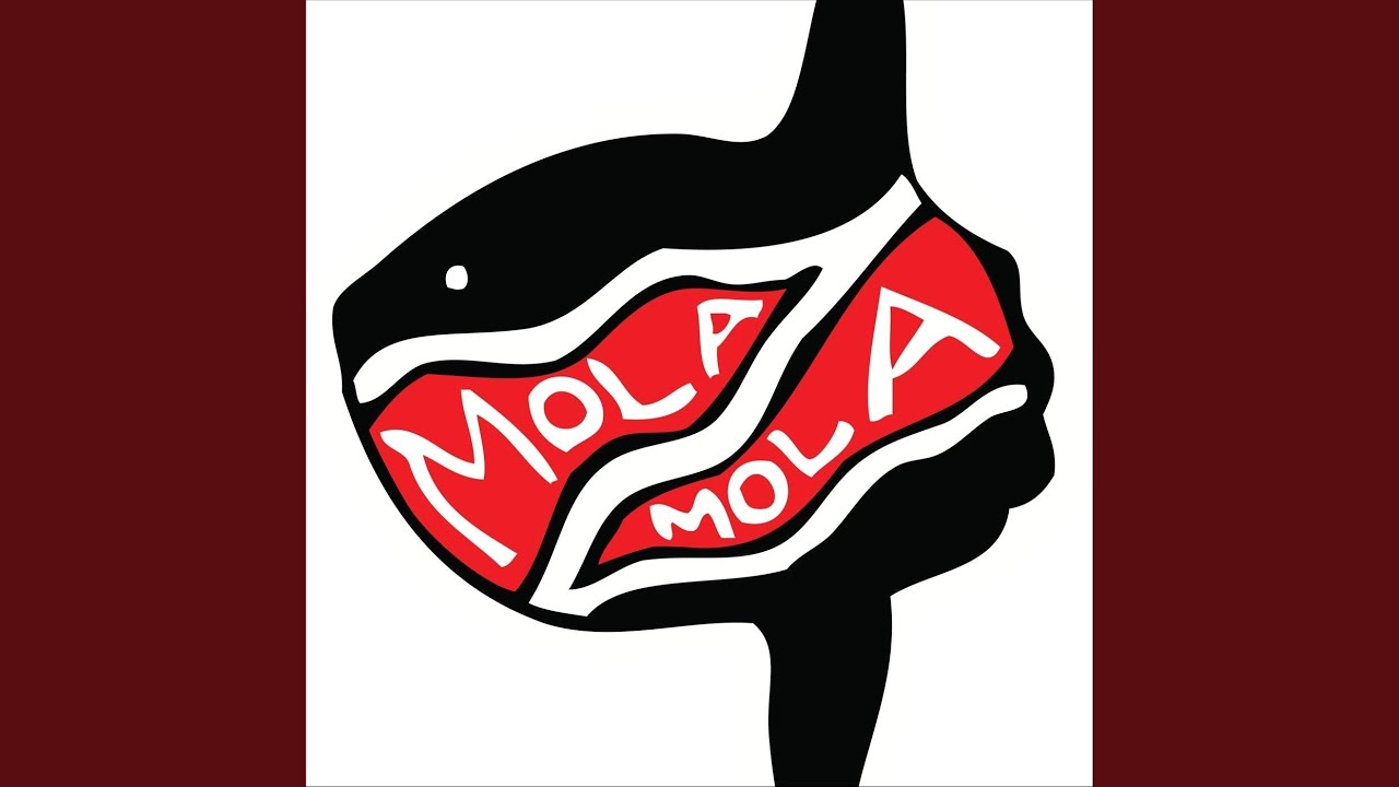 Fate of a Mola mola - YouTube