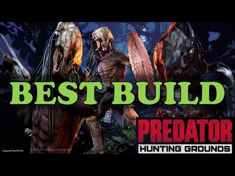 Best Feral Predator Build? Is this DLC worth to use on Predator Hunting ...