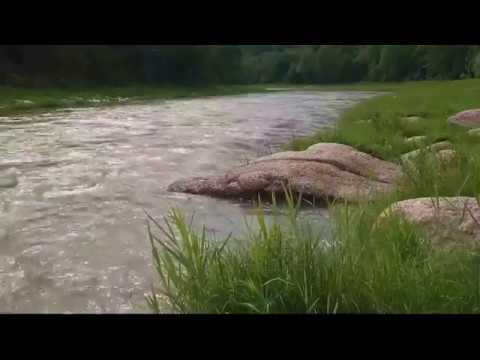 Река Нугуш. Башкортостан. Россия Nugush River. Bashkortostan. Russia ...