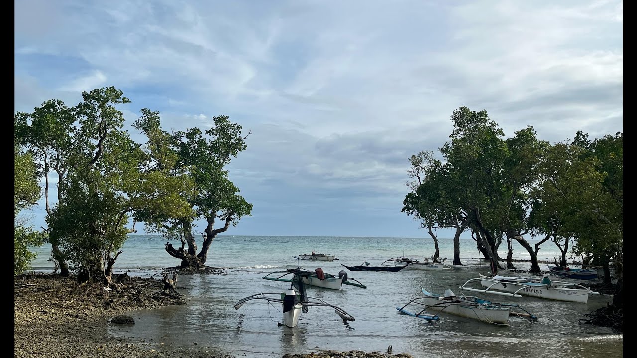 bohol 2025 - YouTube