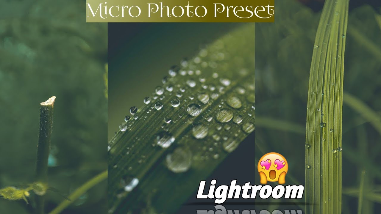 Micro photo preset||micro photography||micro photo editing||preset ...