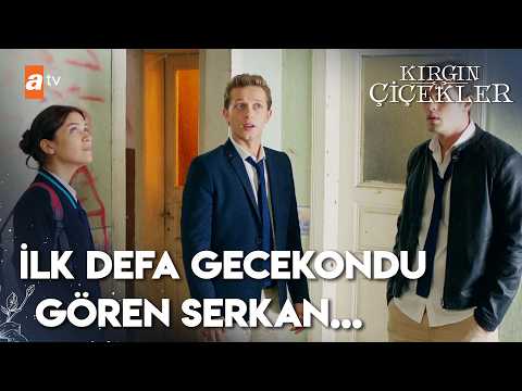 Serkan ve Eylül birlikte eve çıkıyor - Kırgın Çiçekler 18. Bölüm