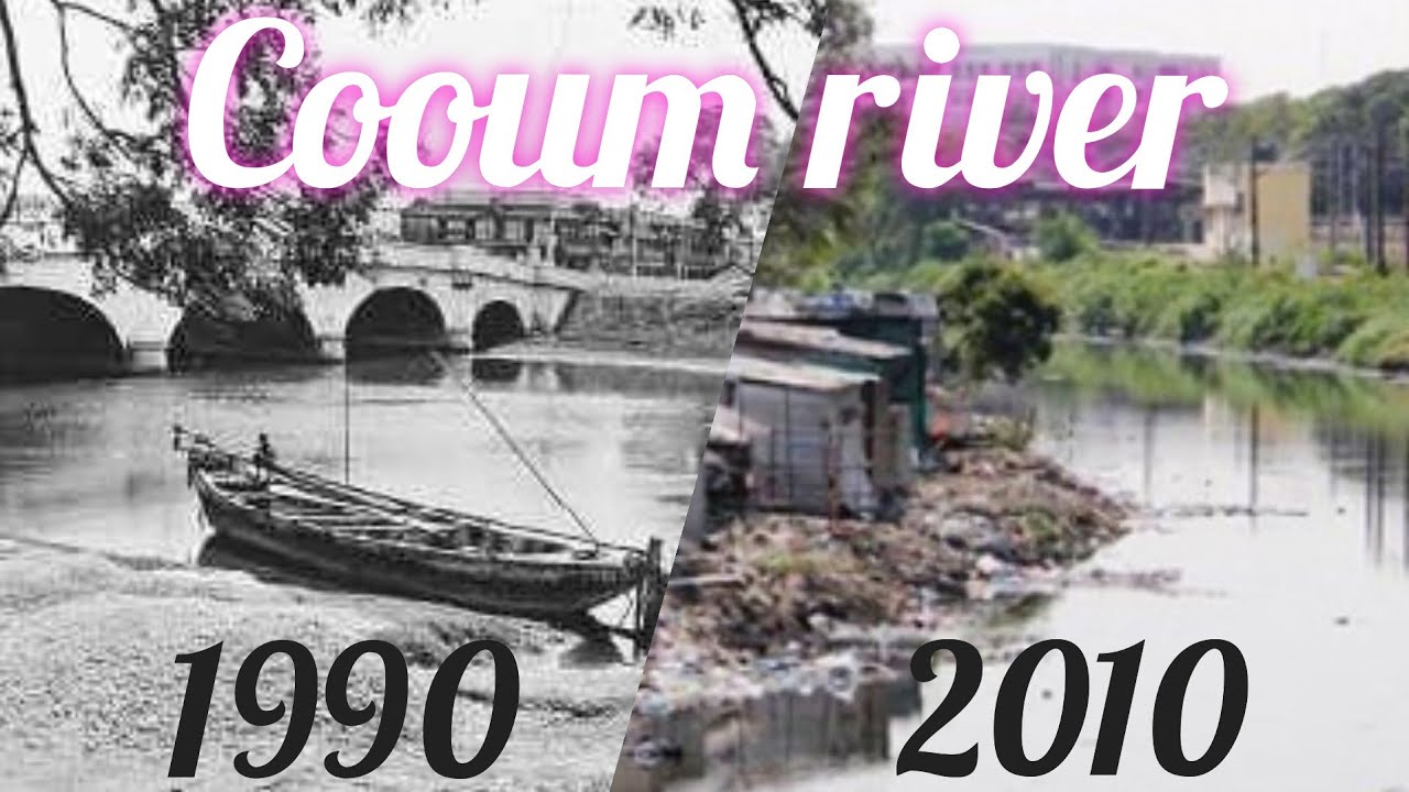 Cooum river (EVS PROJECT) - YouTube