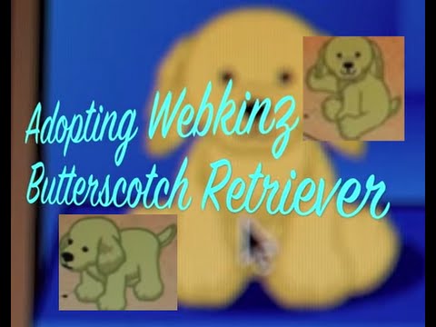 Adopting Webkinz Butterscotch Retriever - YouTube