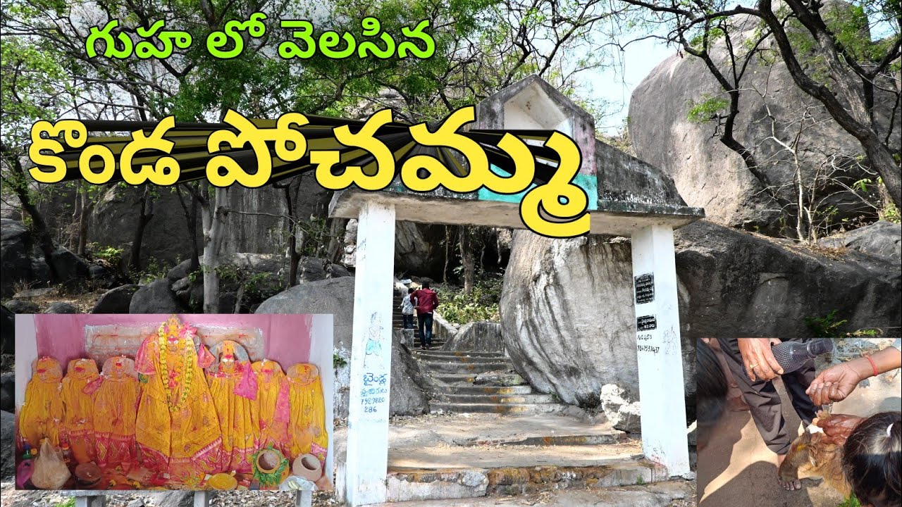 konda pochamma temple - vattemla,vemula wada - YouTube